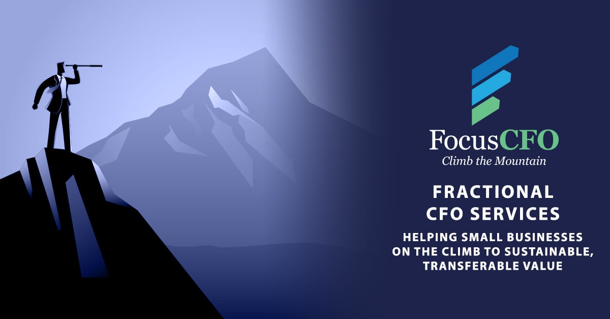 Fractional CFO Consulting Services for SMB Growth | FocusCFO